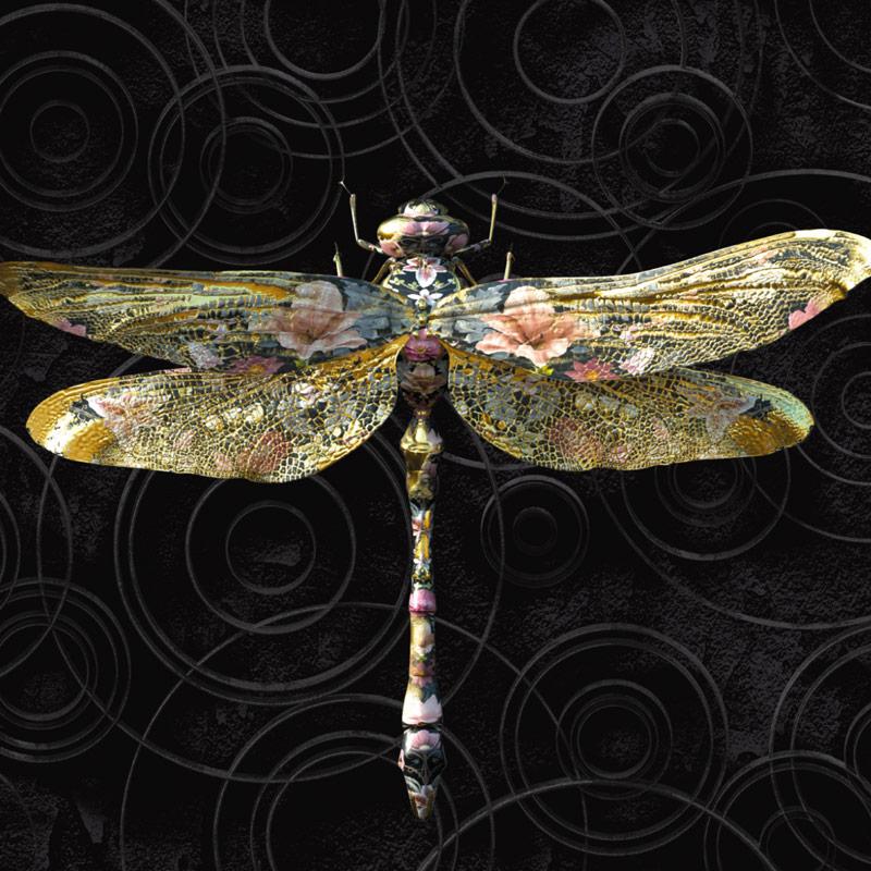 Anisoptera Botanicus Wallpaper - Insects Noir – Lime Lace