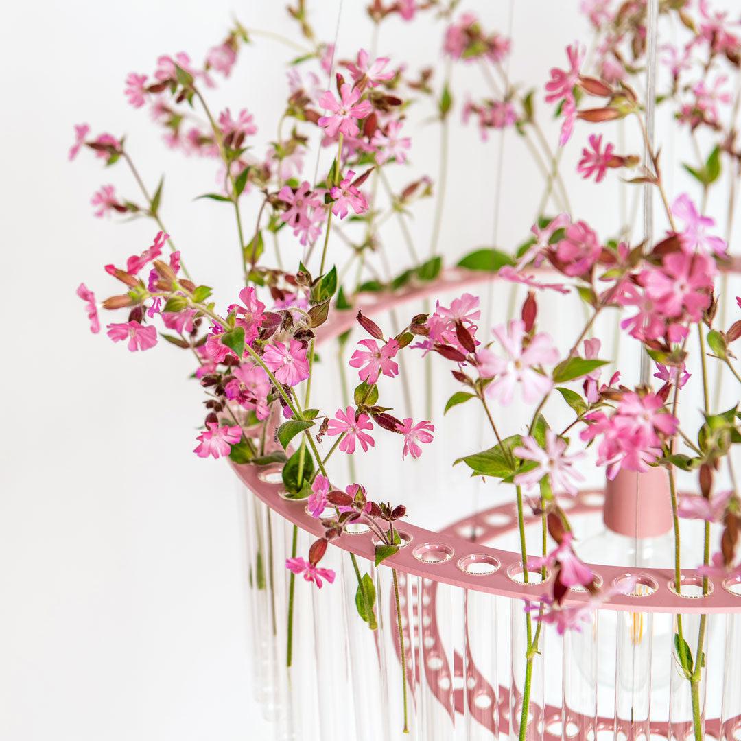 Pink Maria SC Test Tube Chandelier - Double – Lime Lace