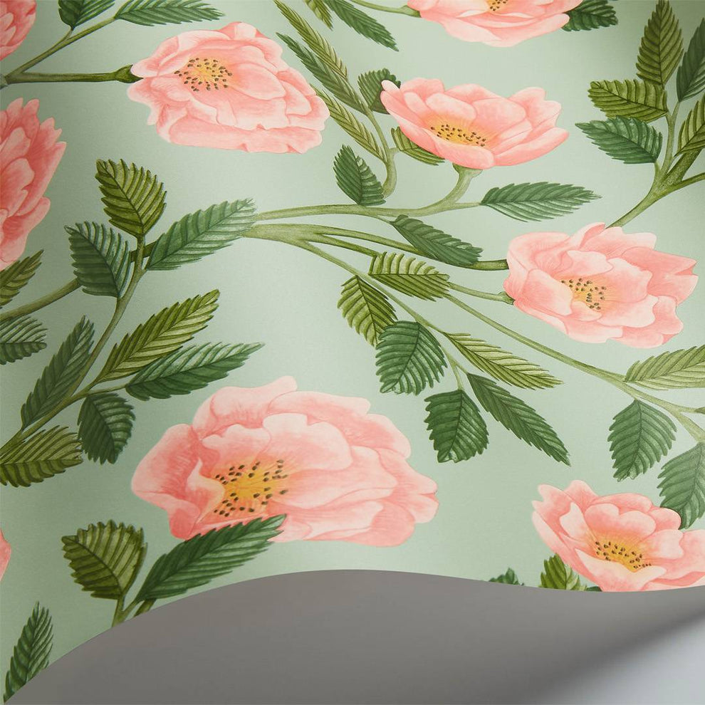 Hampton Roses Wallpaper - Great Masters - Cole & Son – Lime Lace
