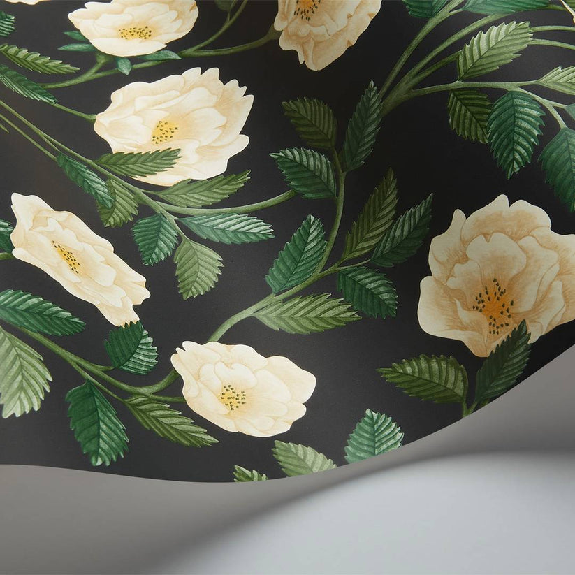 Hampton Roses Wallpaper - Great Masters - Cole & Son – Lime Lace