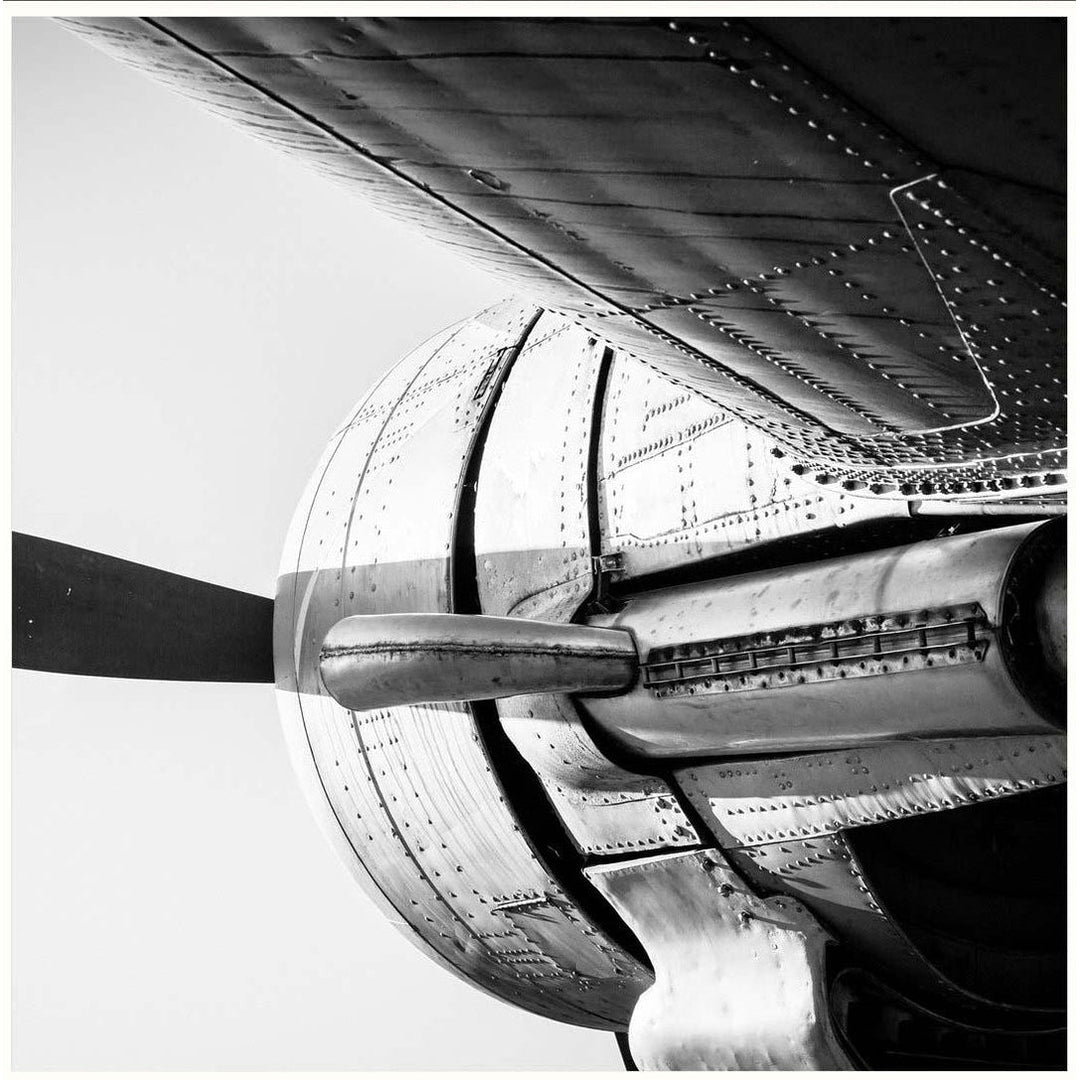 Jet Plane Framed Wall Art - MINDTHEGAP – Lime Lace