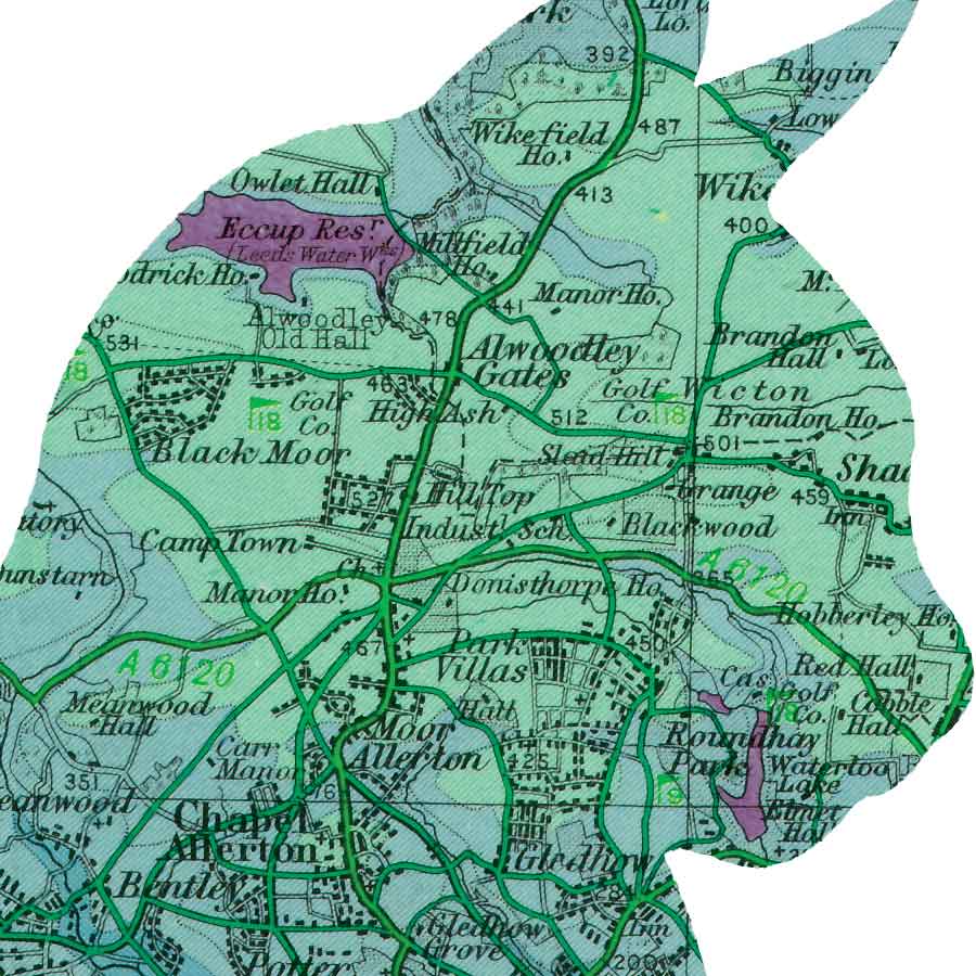 Personalised Vintage Cat Map Print – Lime Lace