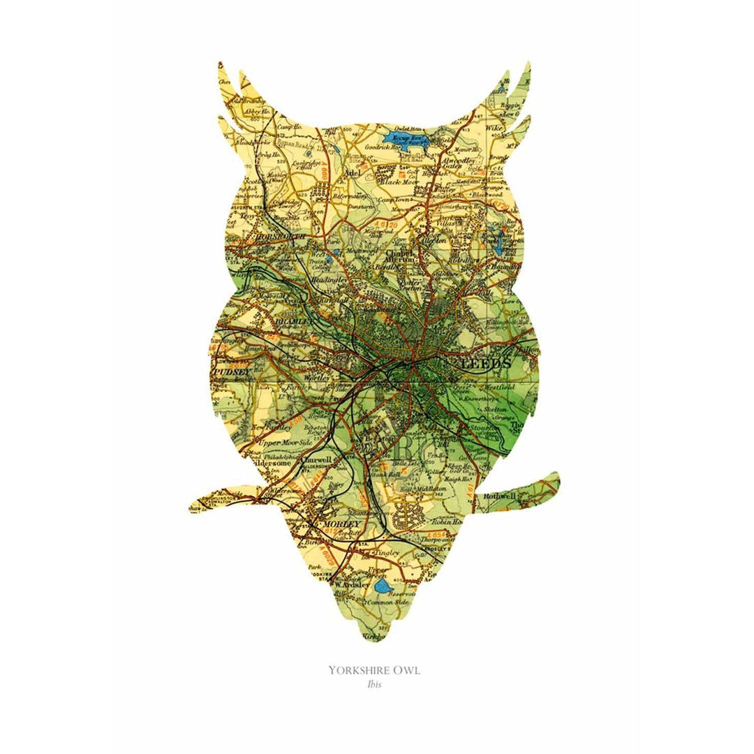 Personalised Vintage Owl Map Print – Lime Lace