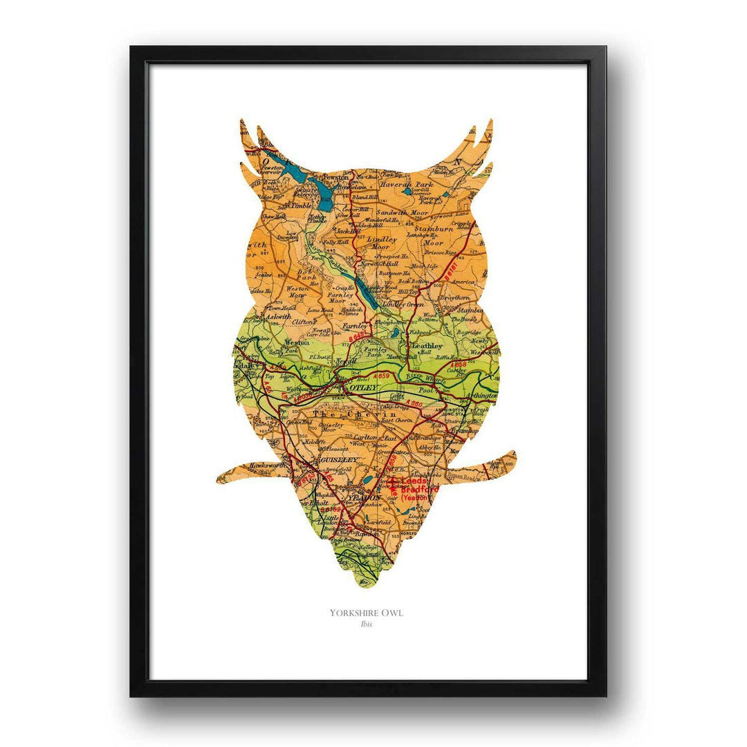 Personalised Vintage Owl Map Print – Lime Lace
