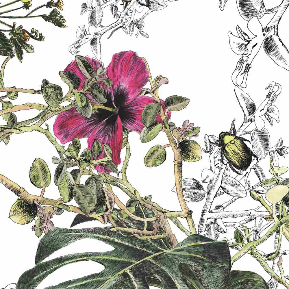 Seasons Classic Wallpaper - Summer Tropical Bloom - Sian Zeng – Lime Lace