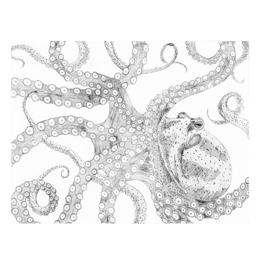 Solitary Octopus Artwork - Black – Lime Lace